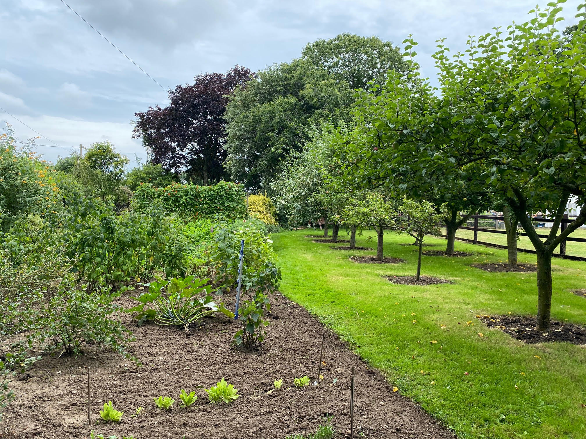 The Village – Edingthorpe Village, Norfolk